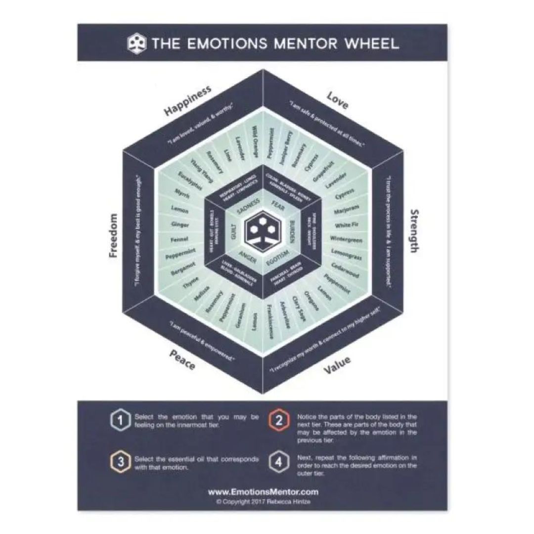 The Emotions Mentor Wheel Information Sheet – Natural Good Life