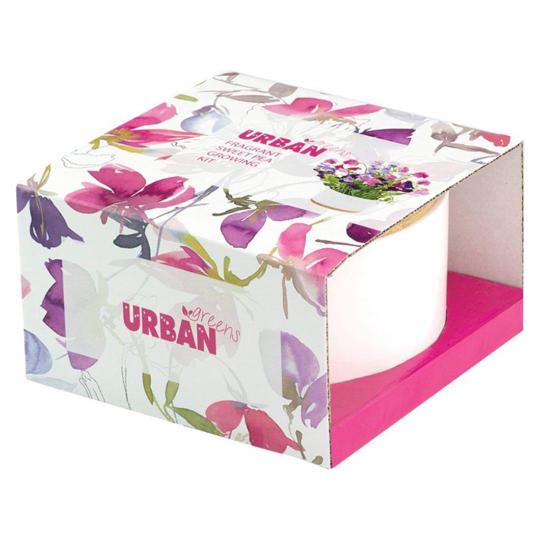Urban Greens - Fragrant Sweet Pea Growing Kit – Natural Good Life