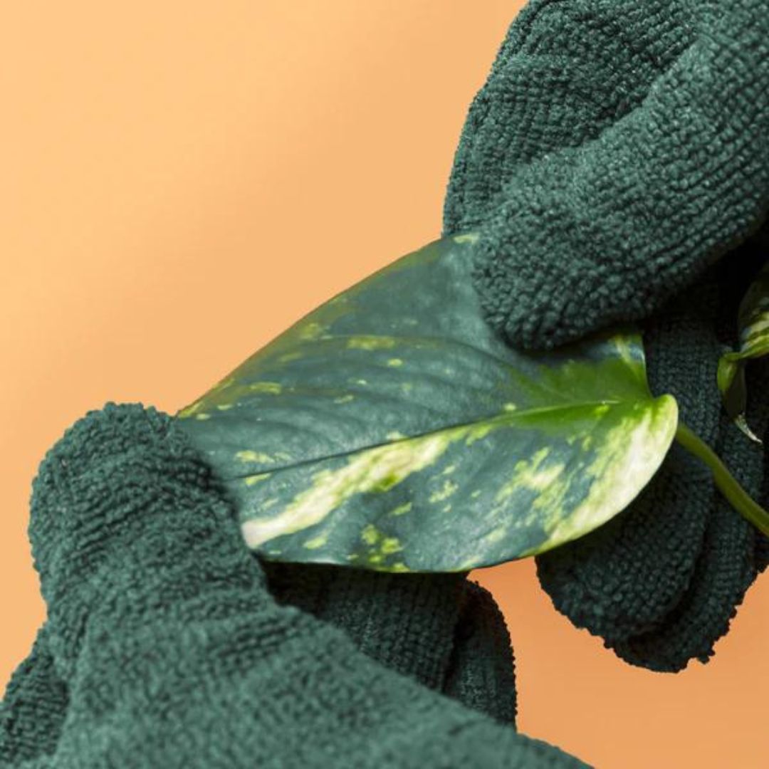We The Wild - Leaf Cleaning Gloves – Natural Good Life