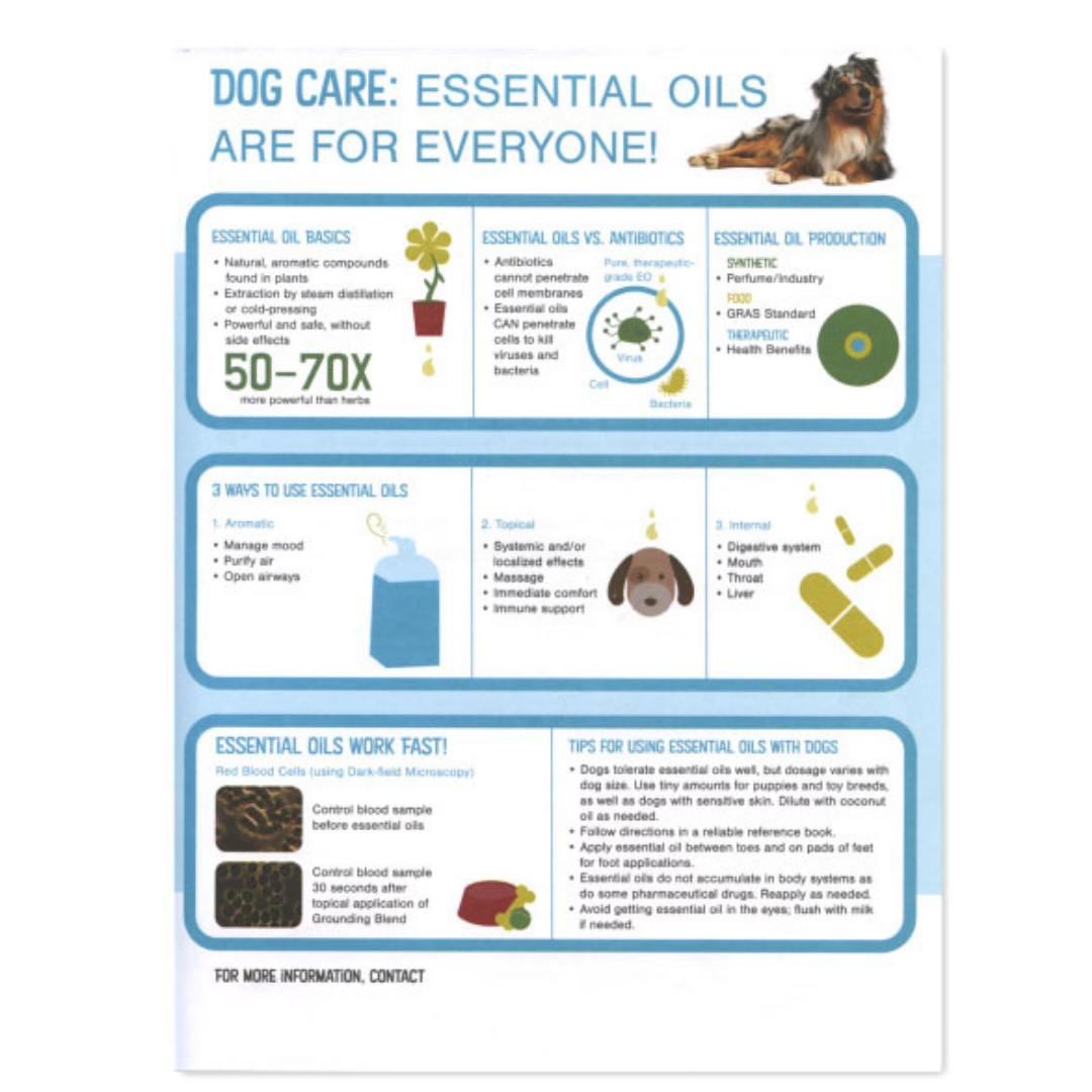 Essential Oils for Dog Care Information Sheet – Natural Good Life